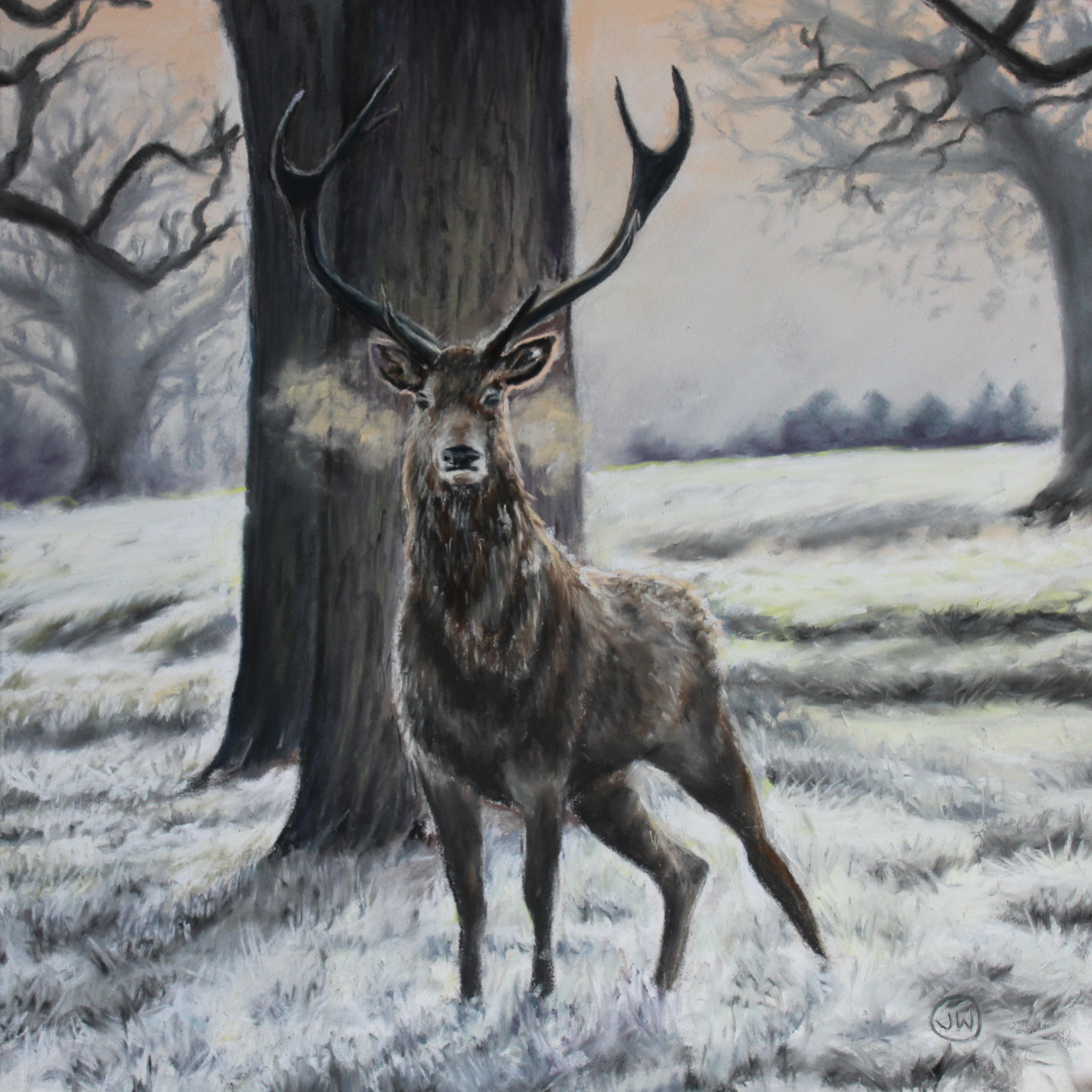 Frosty morning – Julie Wilson Art